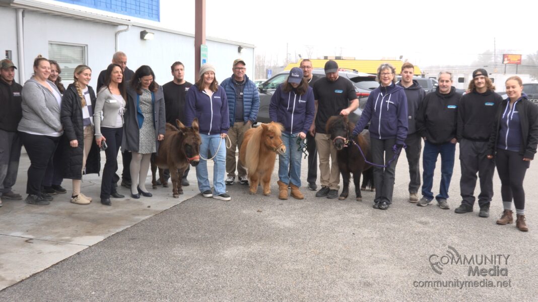 Hanover Auto Team Donates Custom Mini Horse Transport Van to Shining ...